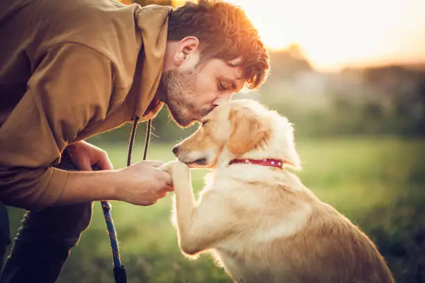 Instinto Canino: Cómo los Perros Detectan a las Personas Buenas